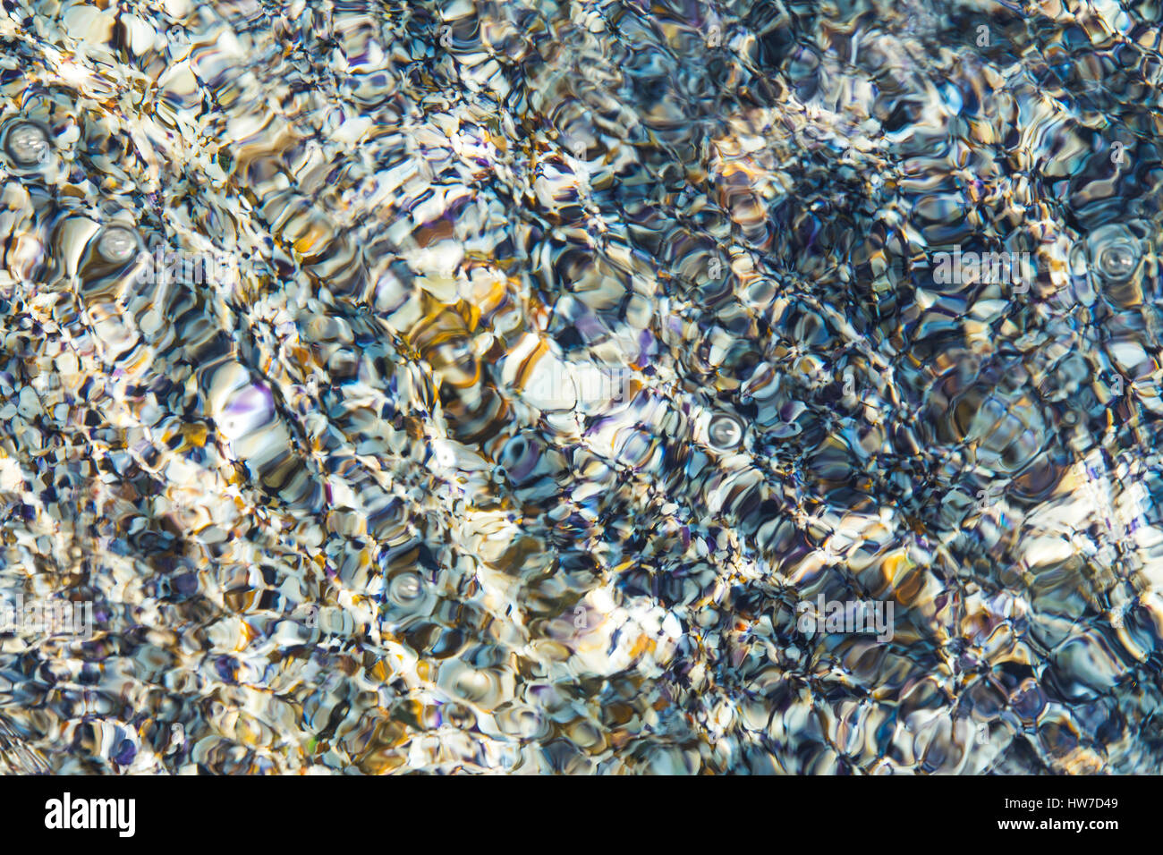 Abstract colorful background of seashells under sea water Stock Photo ...