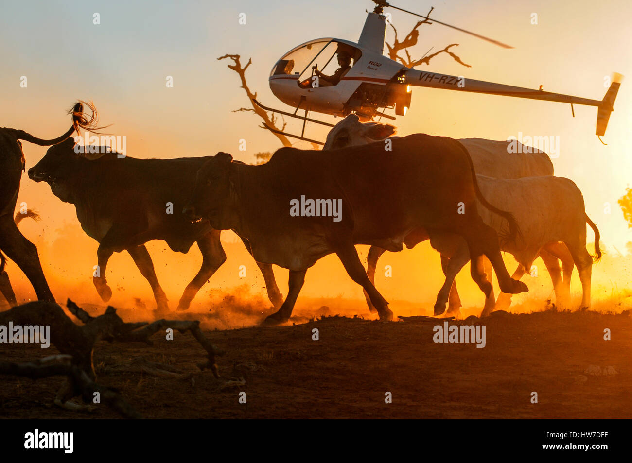 Helicopter sunset australia High Resolution Stock Photography and ...