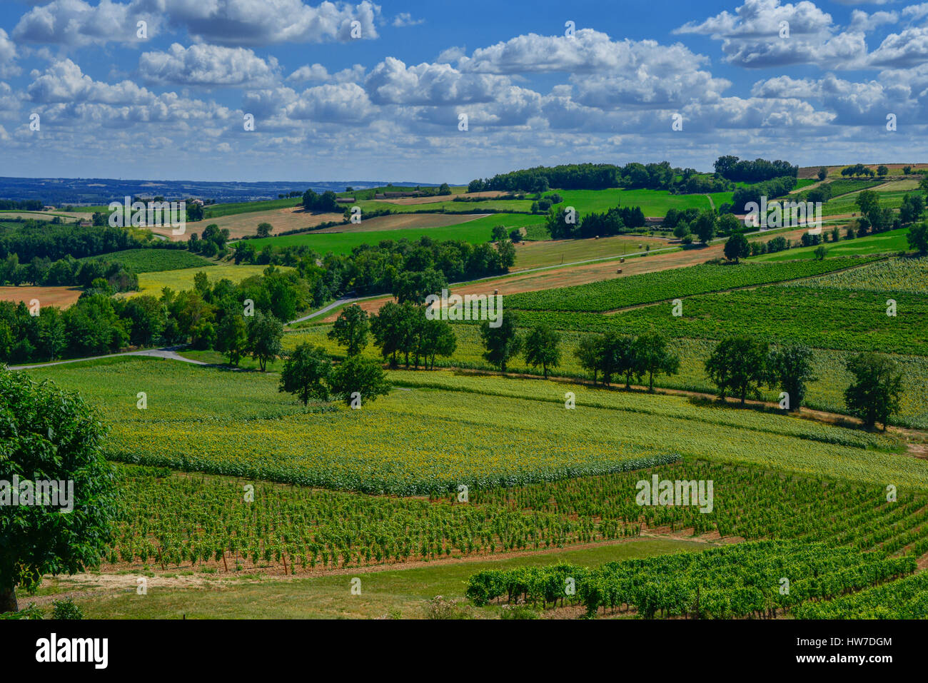 Typical mid summer landscape in the Tarn region of Southern France ...