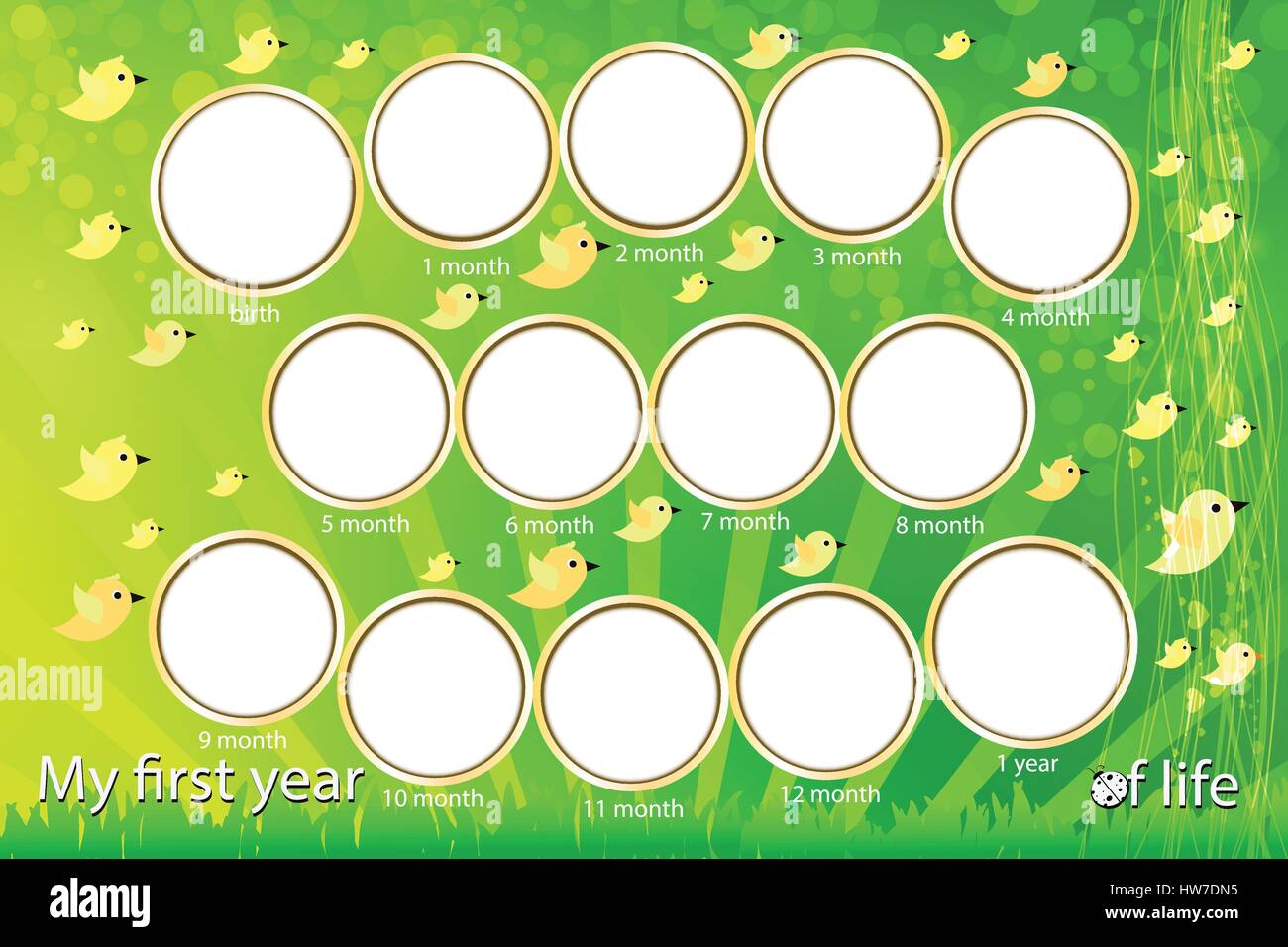 Frame. Vector illustration for your design. Birds on a meadow fly Stock ...