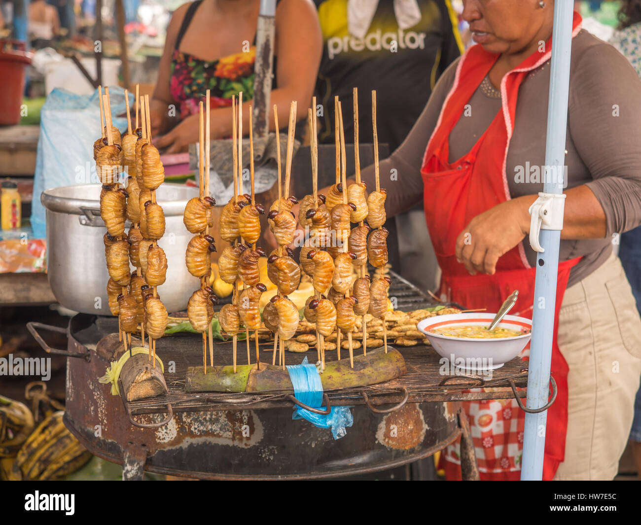 Inhabitants jungle hi-res stock photography and images - Alamy