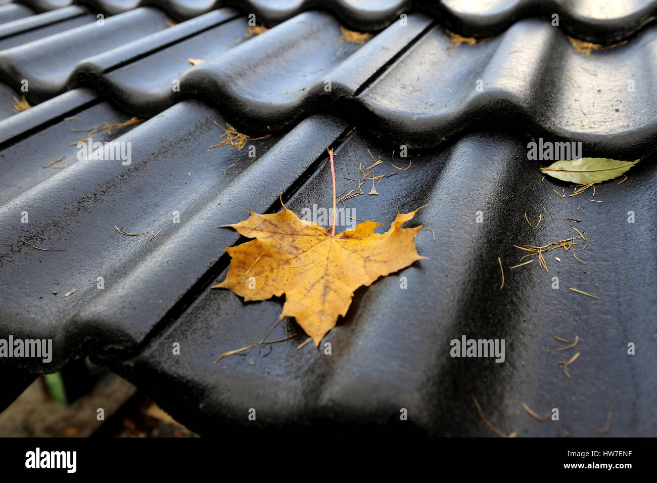 All weather protection hi-res stock photography and images - Alamy