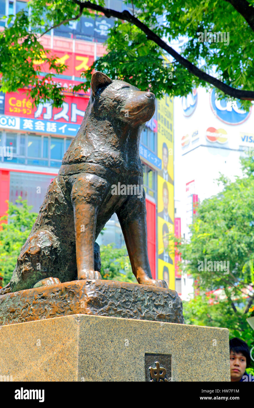 Hachiko Shibuya Tokyo Japan Stock Photo - Alamy