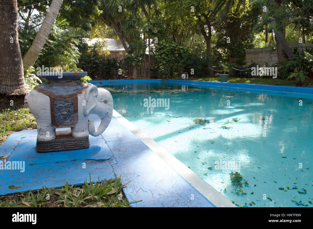 A view of the pool at Hemingway House in Key West Stock Photo - Alamy