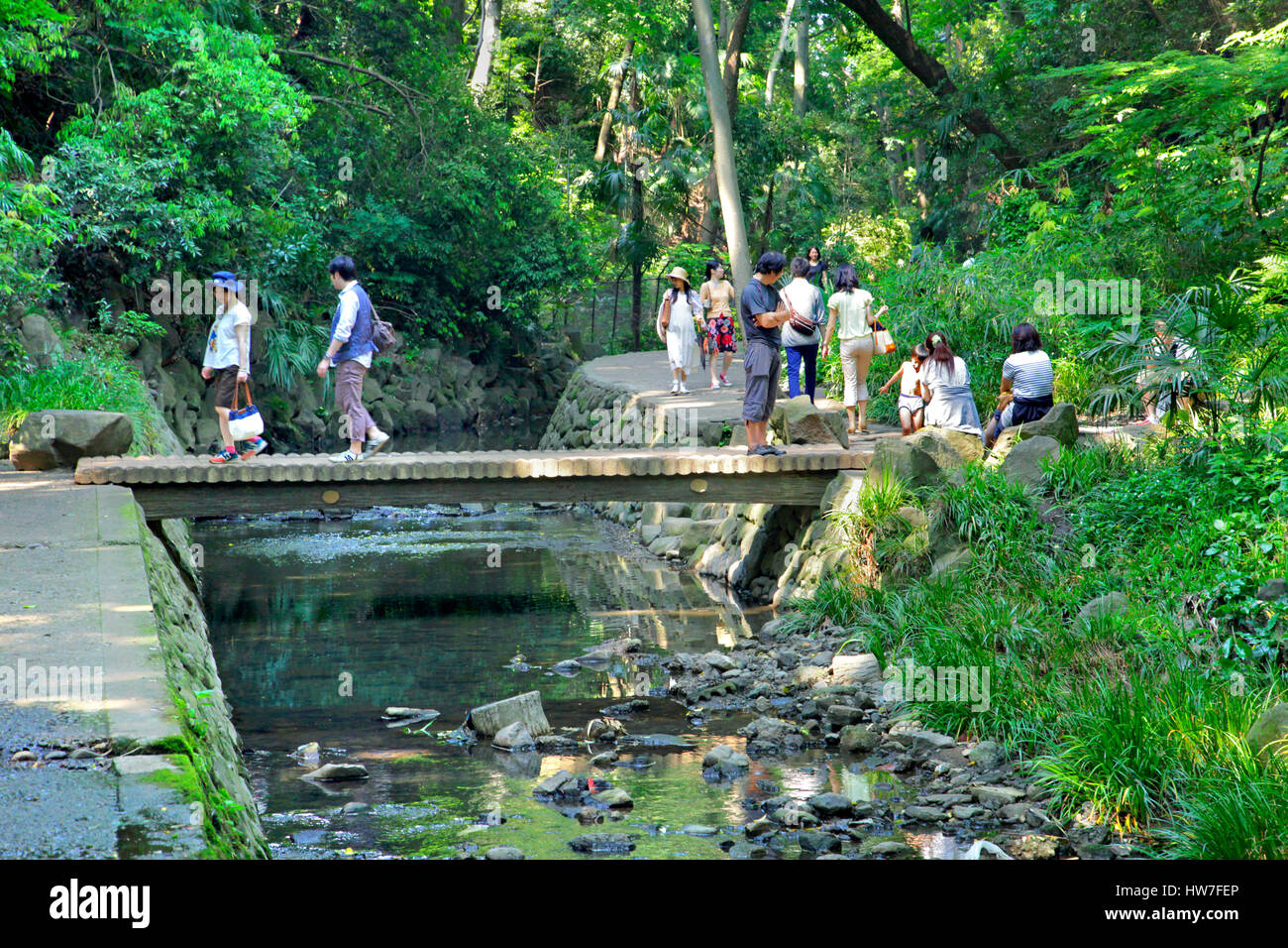 Todoroki Keikoku Valley in Setagaya Tokyo Japan Stock Photo - Alamy