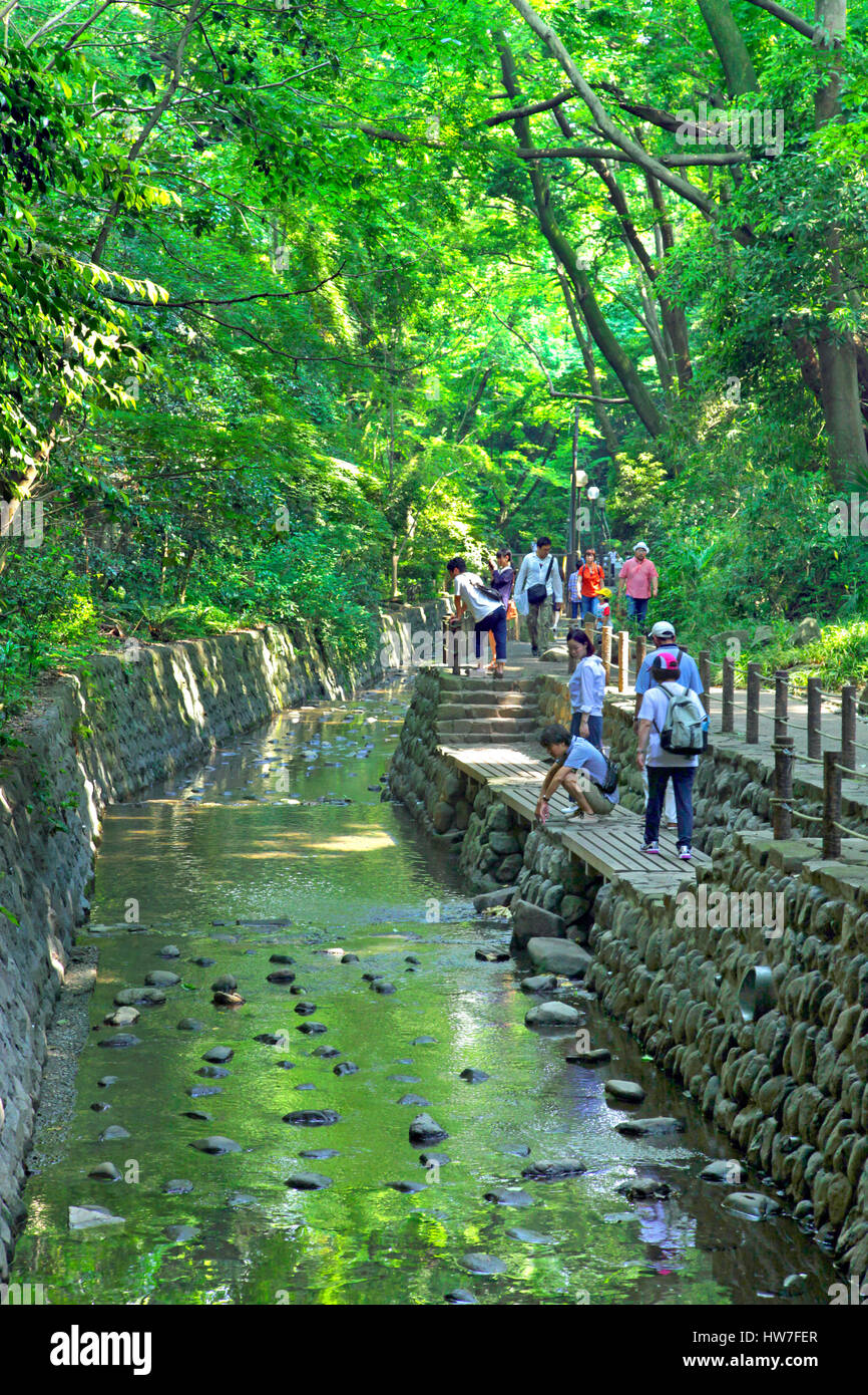 Todoroki Keikoku Valley in Setagaya Tokyo Japan Stock Photo - Alamy