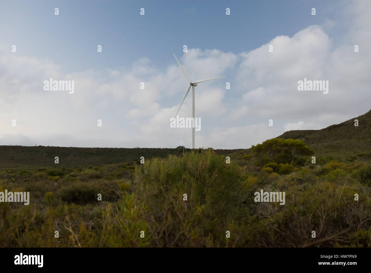 Wind farm through Australian bush Stock Photo - Alamy
