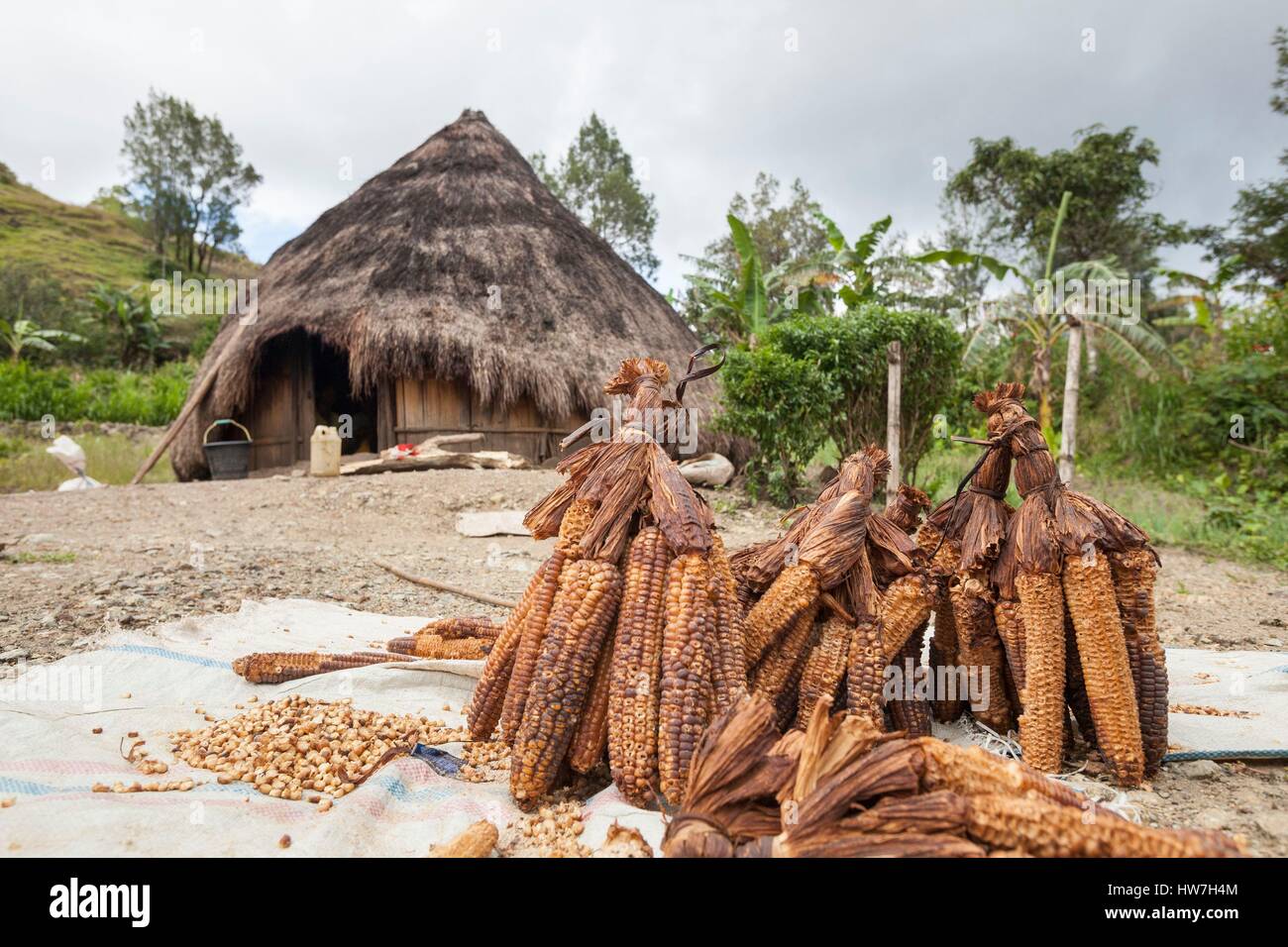 Indonesia, East Nusa Tenggara, West Timor, South Central Timor Regency ...