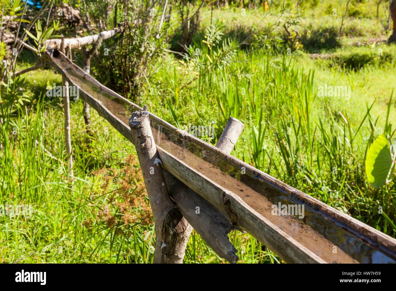 Indonesia, East Nusa Tenggara, West Timor, South Central Timor Regency ...