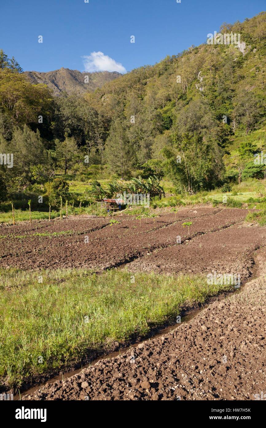 Indonesia East Nusa Tenggara West Timor South Central Timor Regency ...