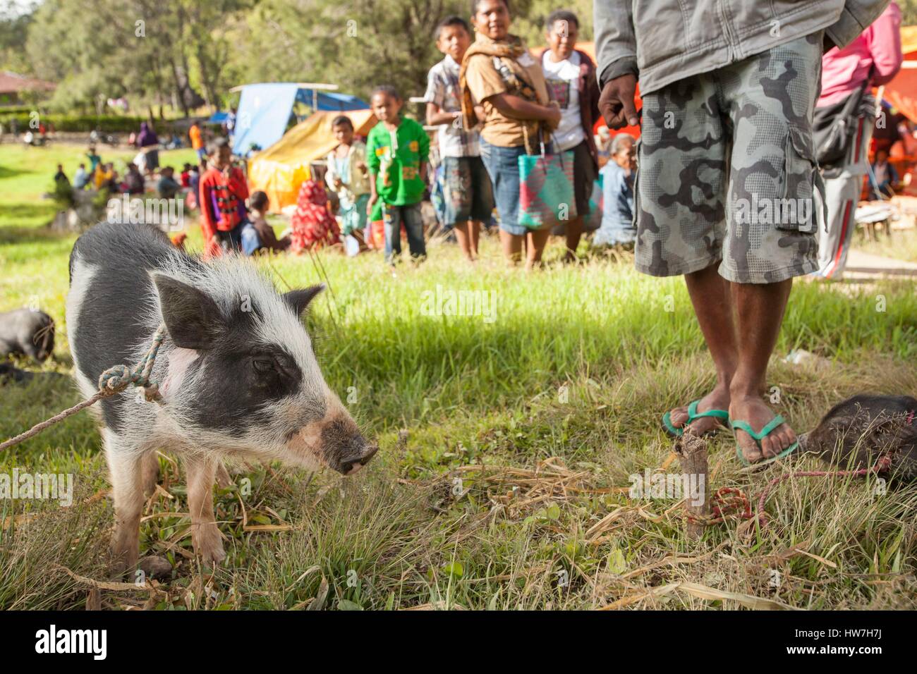 Indonesia, East Nusa Tenggara, West Timor, South Central Timor Regency ...