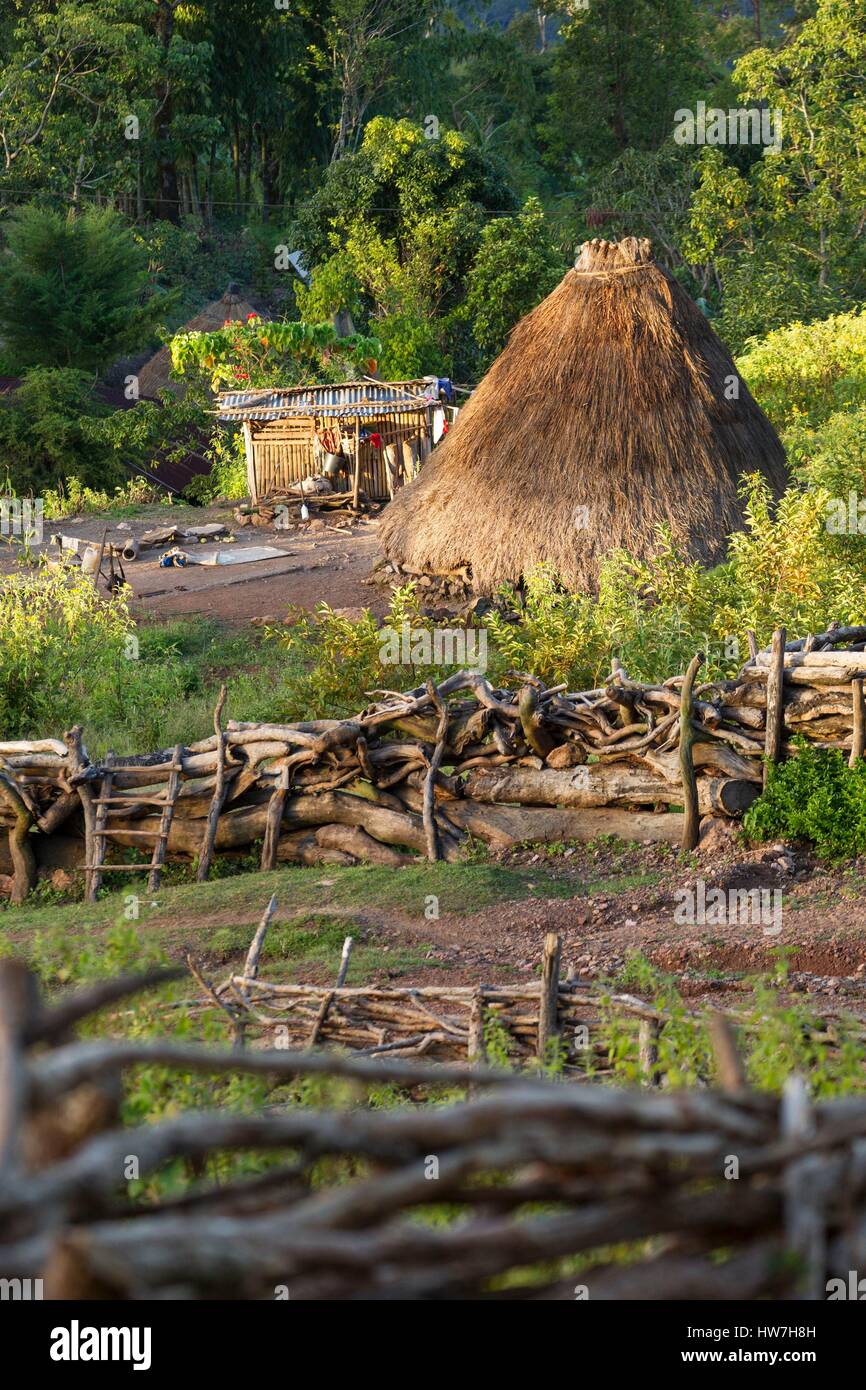 Timorese traditional hi-res stock photography and images - Alamy