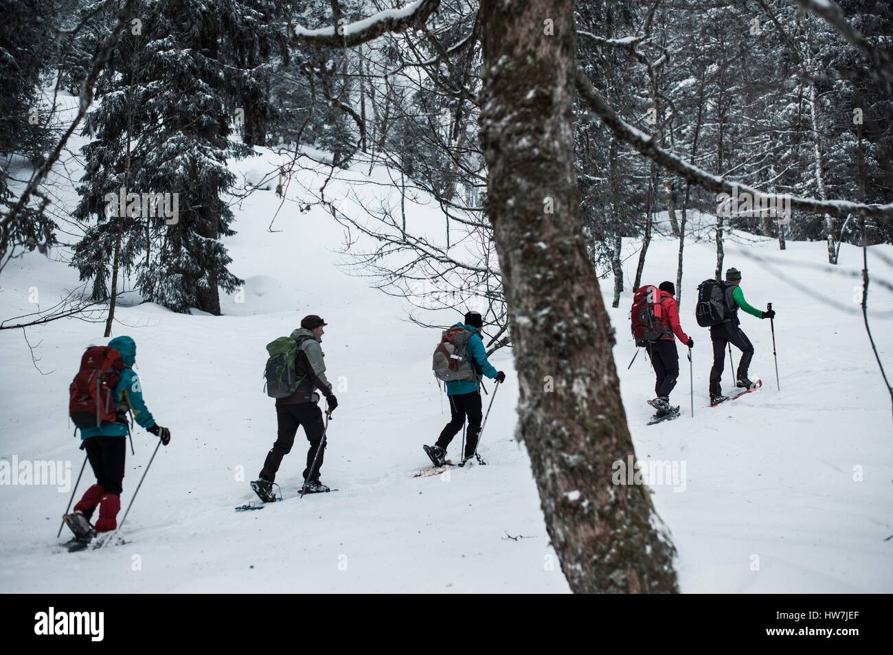 France Isere Parc Naturel Regional de Chartreuse (Natural regional park ...