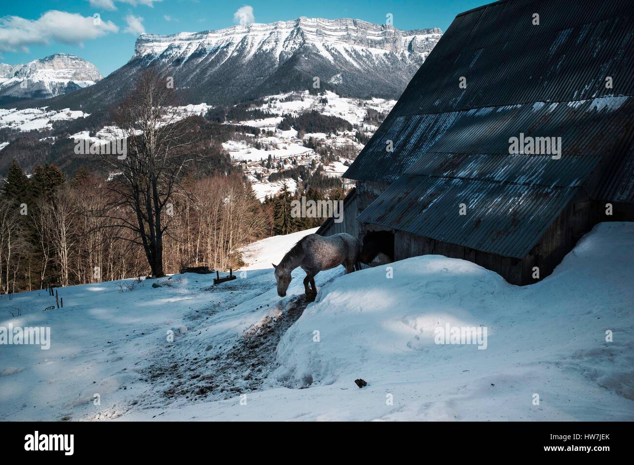 France, Isere, Parc Naturel Regional de Chartreuse (Natural regional ...