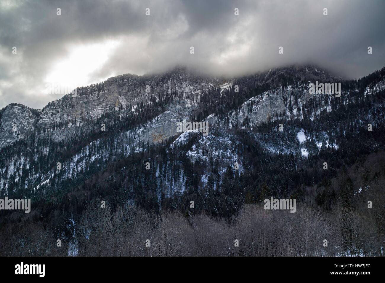 France, Isere, Parc Naturel Regional de Chartreuse (Natural regional ...