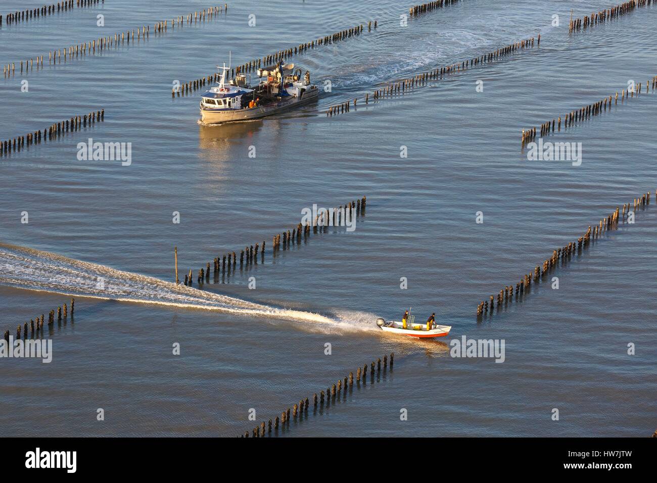 France, Vendee, La Faute sur Mer, boat and its tender in a bouchot ...
