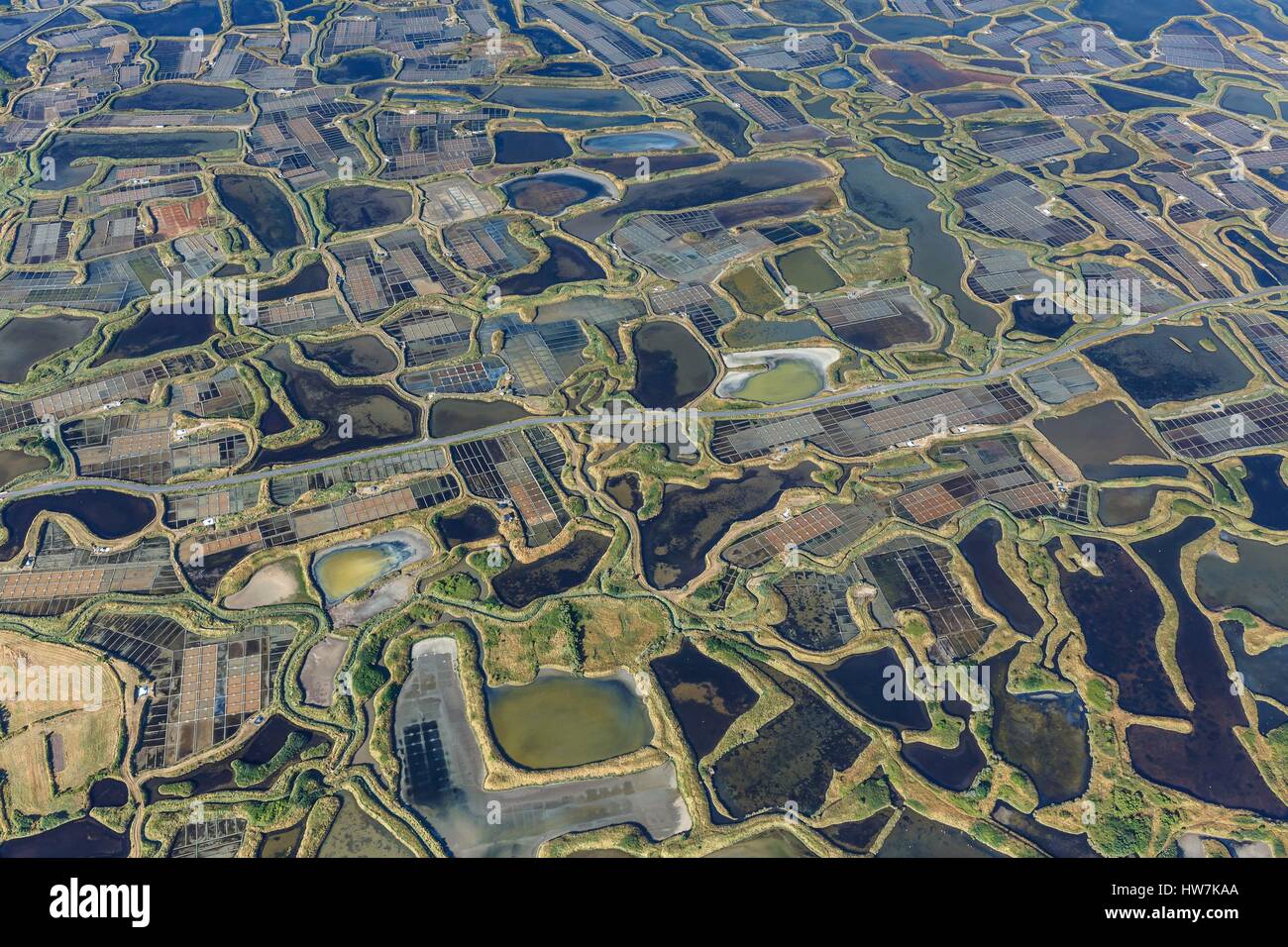 France, Loire Atlantique, Guerande, Guerande salt marshes (aerial view ...