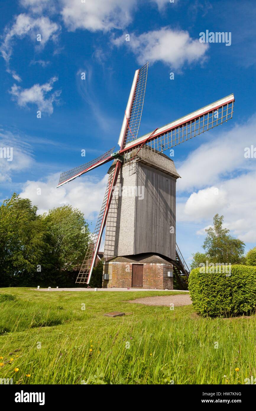 France, Nord, Steenvoorde, mill Drievenmeulen Stock Photo - Alamy