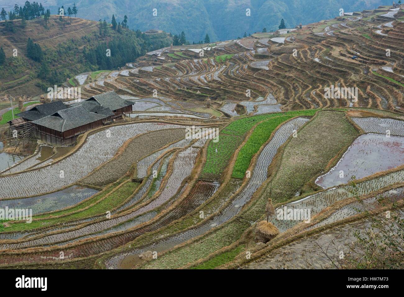 Jiabang rice terrace hi-res stock photography and images - Alamy