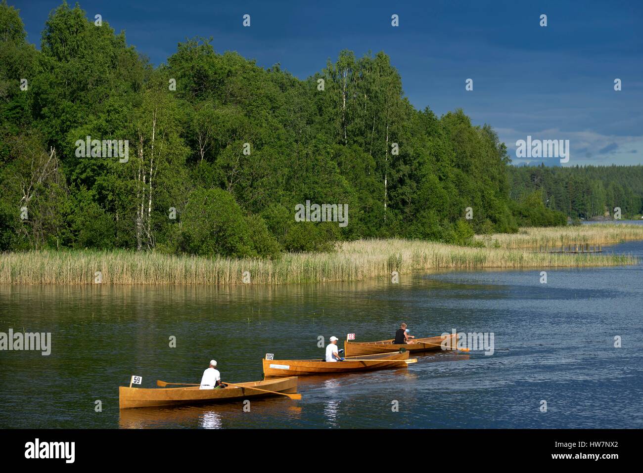 Finland, province of oriental Finland, Sulkava, Wooden canoes on a lake ...