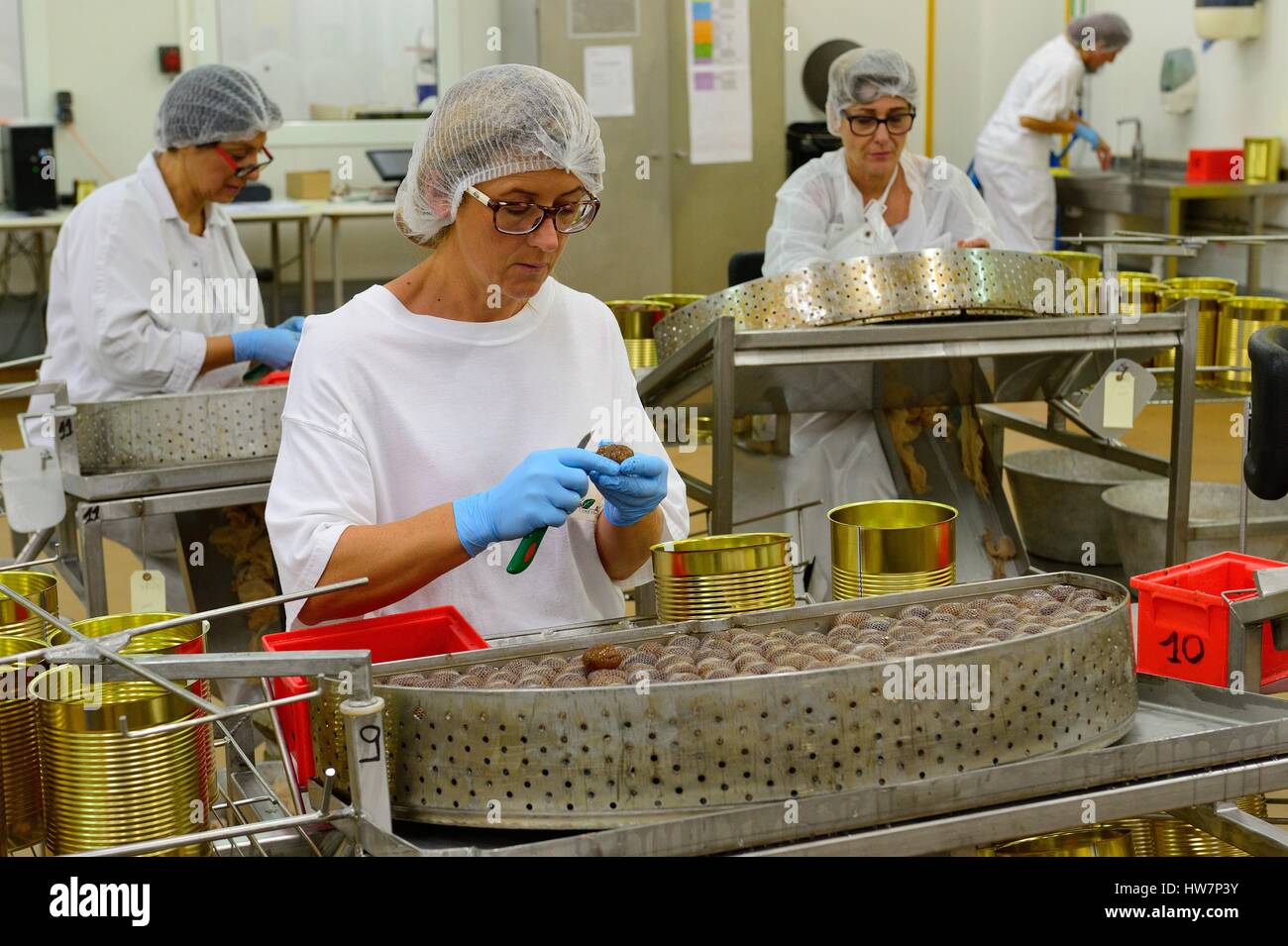 France, Ardeche, Aubenas, Candied chestnuts from home Sabaton Stock ...