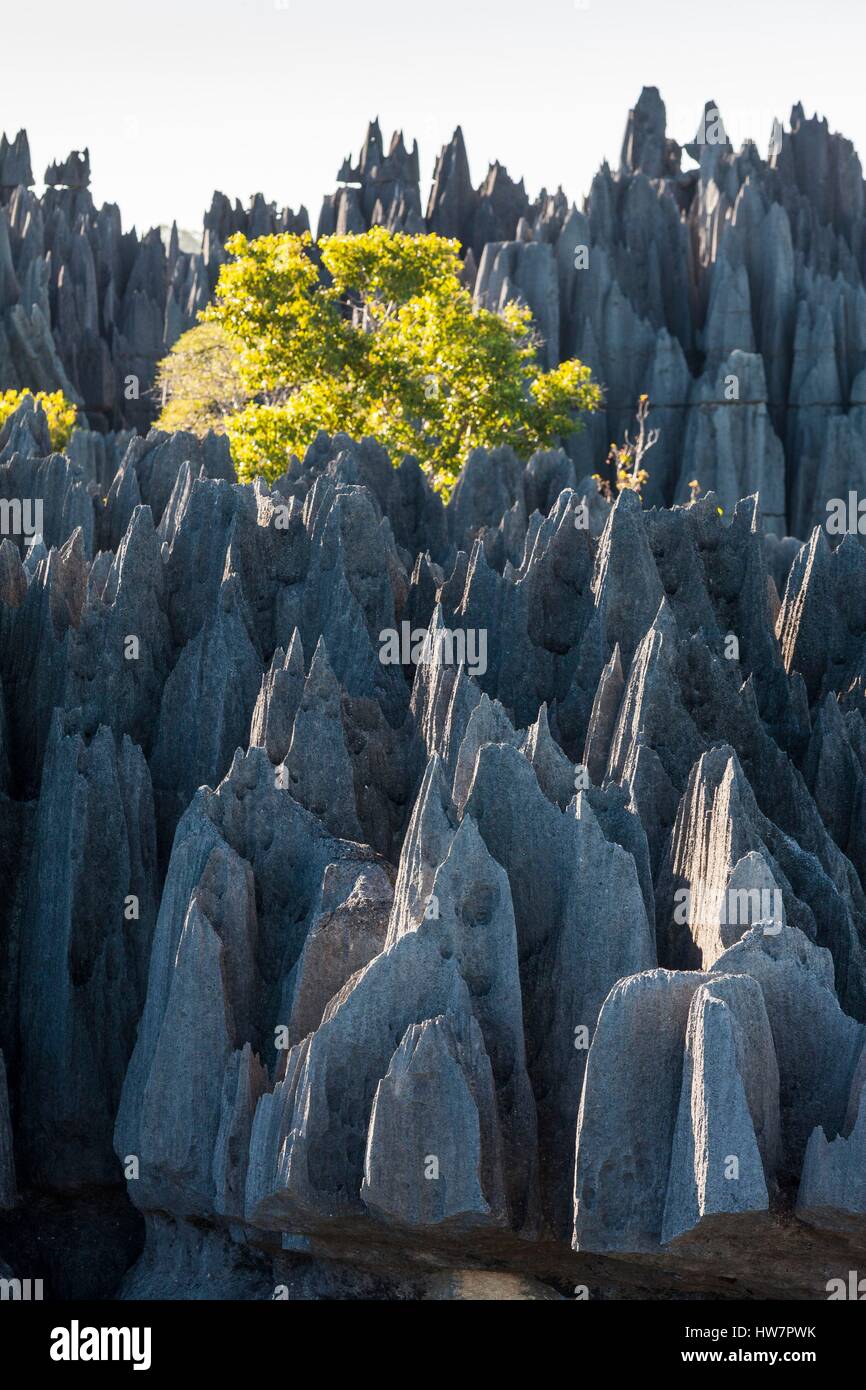 Tsingy De Bemaraha National Park