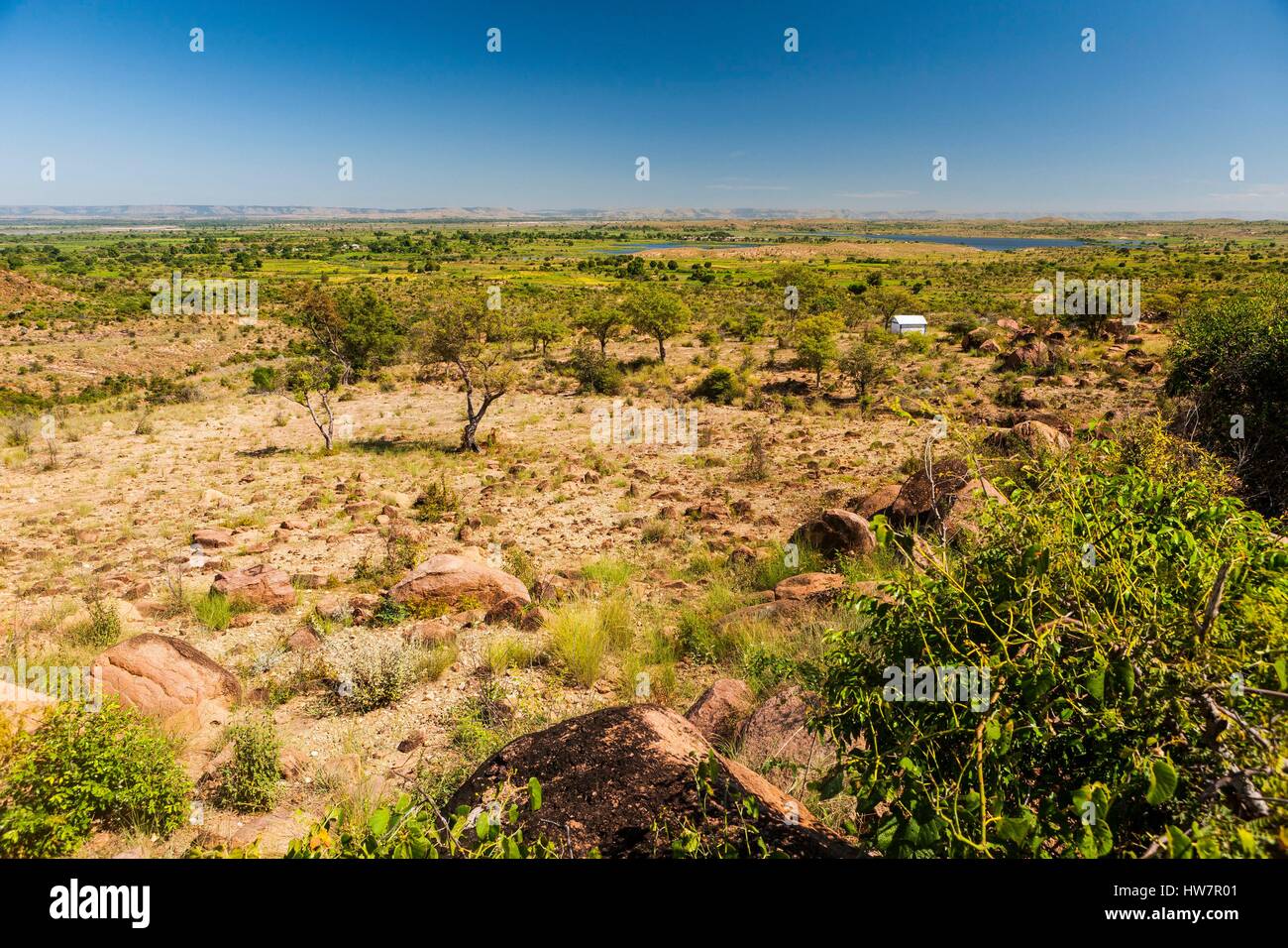 Madagascar, Menabe region, landscape of type savanne Stock Photo - Alamy