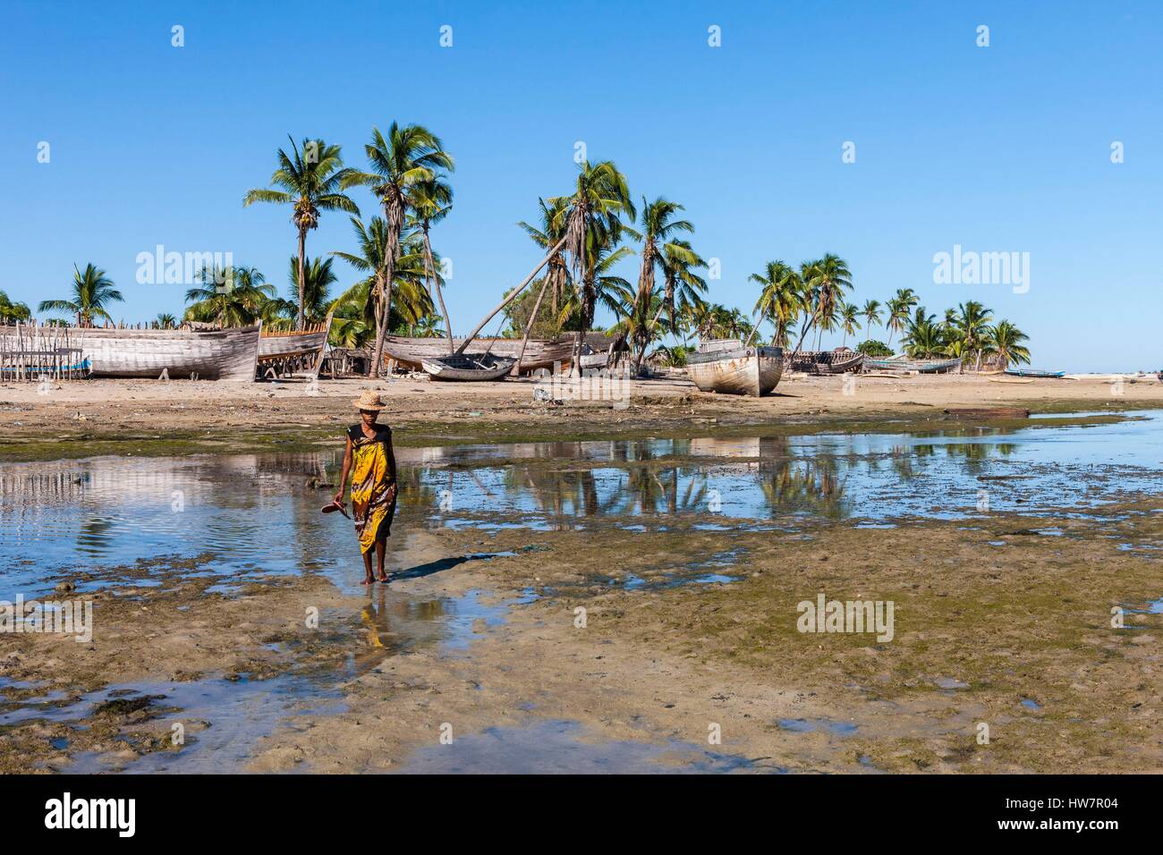 Madagascar, Menabe region, Belo sur Mer, building a traditional dhow ...