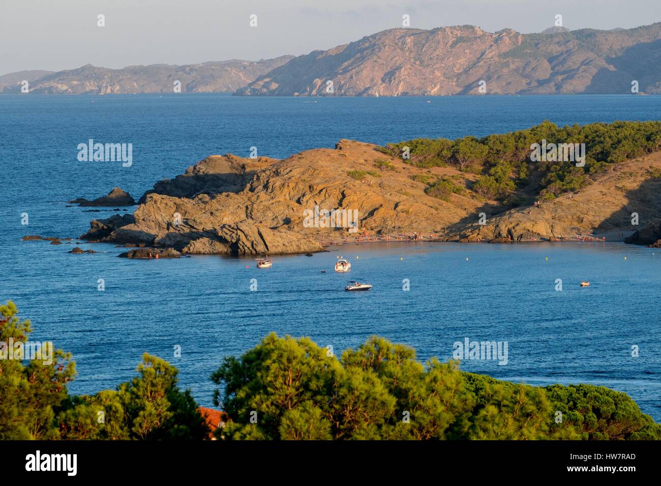 Colera hi-res stock photography and images - Alamy