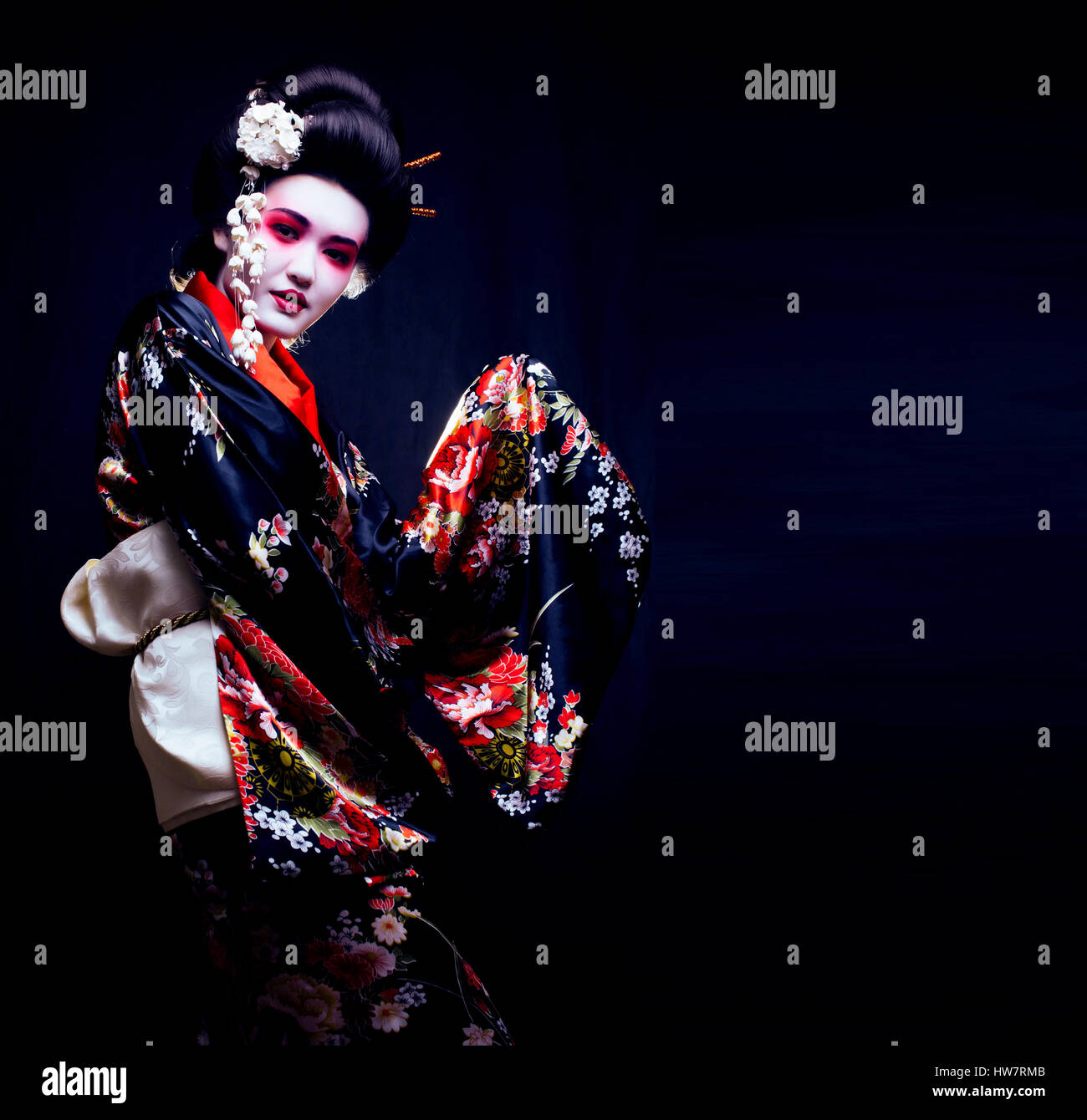 Real geisha hi-res stock photography and images - Alamy