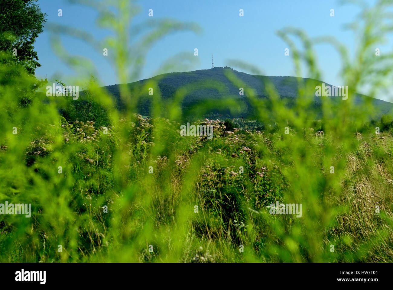 Sleza mountain 718 m above sea level, landscape, dolnoslaskie ...