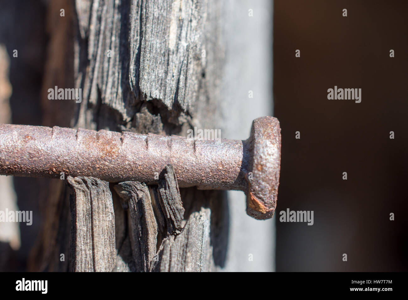Side View of Old Rusty Nail in Barnwood Stock Photo - Alamy