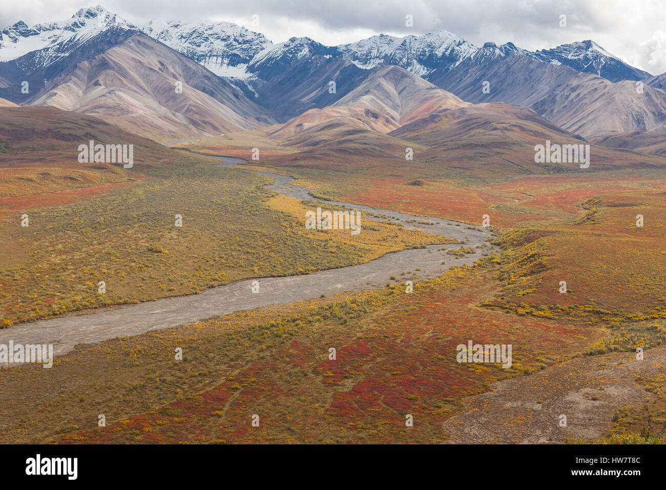 Fall View from Polychrome Pass, Denali National Park, Alaska Stock ...
