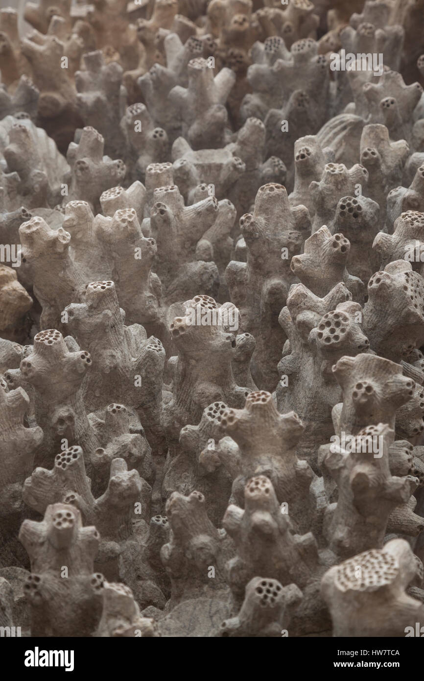 Sintra, Portugal: Detail of coral stone carving on the Gate of the ...