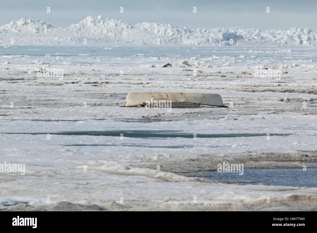 An upside down umiaq on the pack ice signalling an unsucessful whale ...
