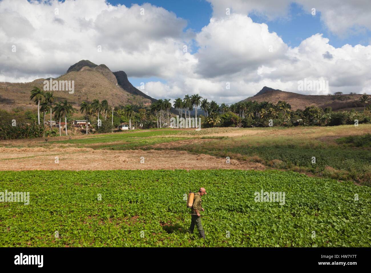 Cuba, Sancti Spiritus Province, Banao, farm fields Stock Photo - Alamy