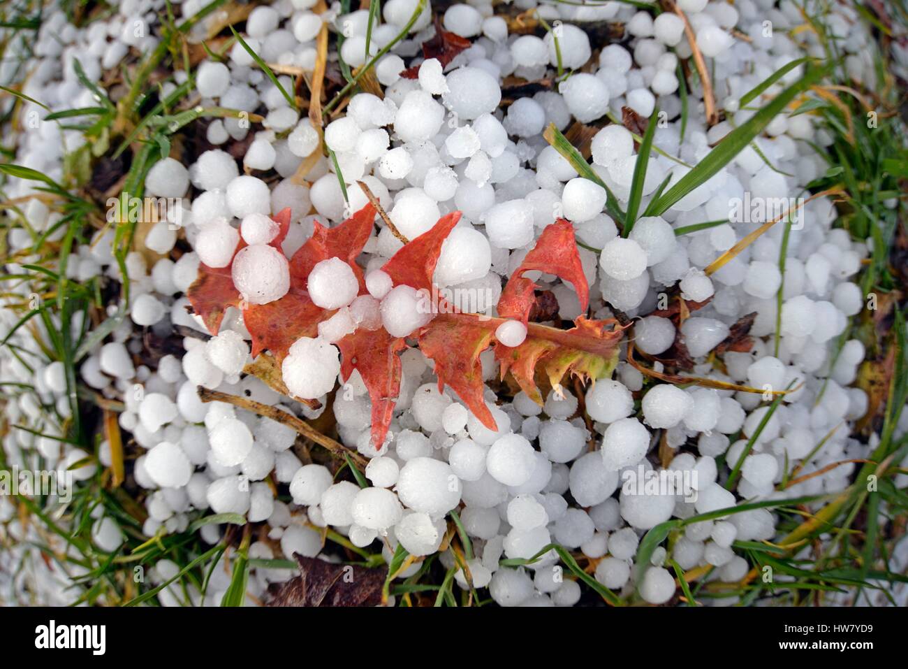 Hail rain ground hi-res stock photography and images - Alamy