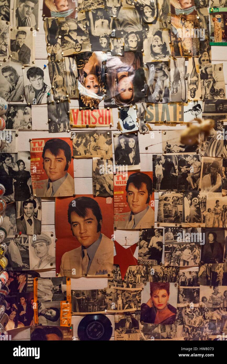 Elvis Presley Wallpaper Collage