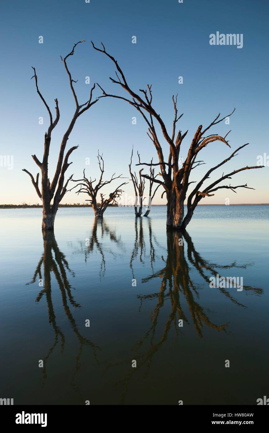 Australia, South Australia, Murray River Valley, Barmera, Lake Bonney ...