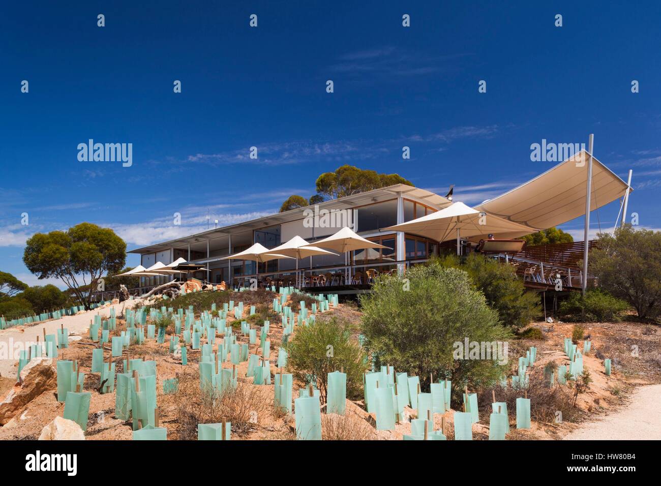 Australia, South Australia, Murray River Valley, Kingston on Murray ...