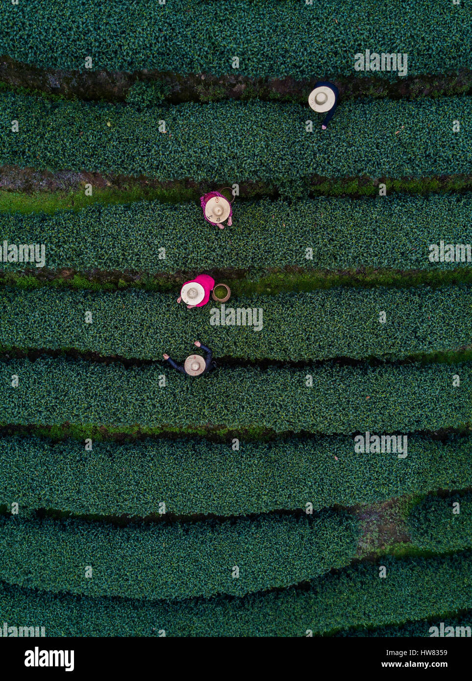 Hangzhou. 18th Mar, 2017. Aerial view taken on March 18, 2017 shows ...