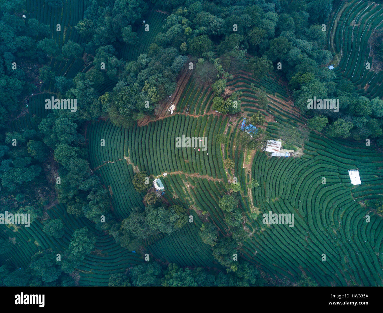Hangzhou. 18th Mar, 2017. Aerial view taken on March 18, 2017 shows a ...