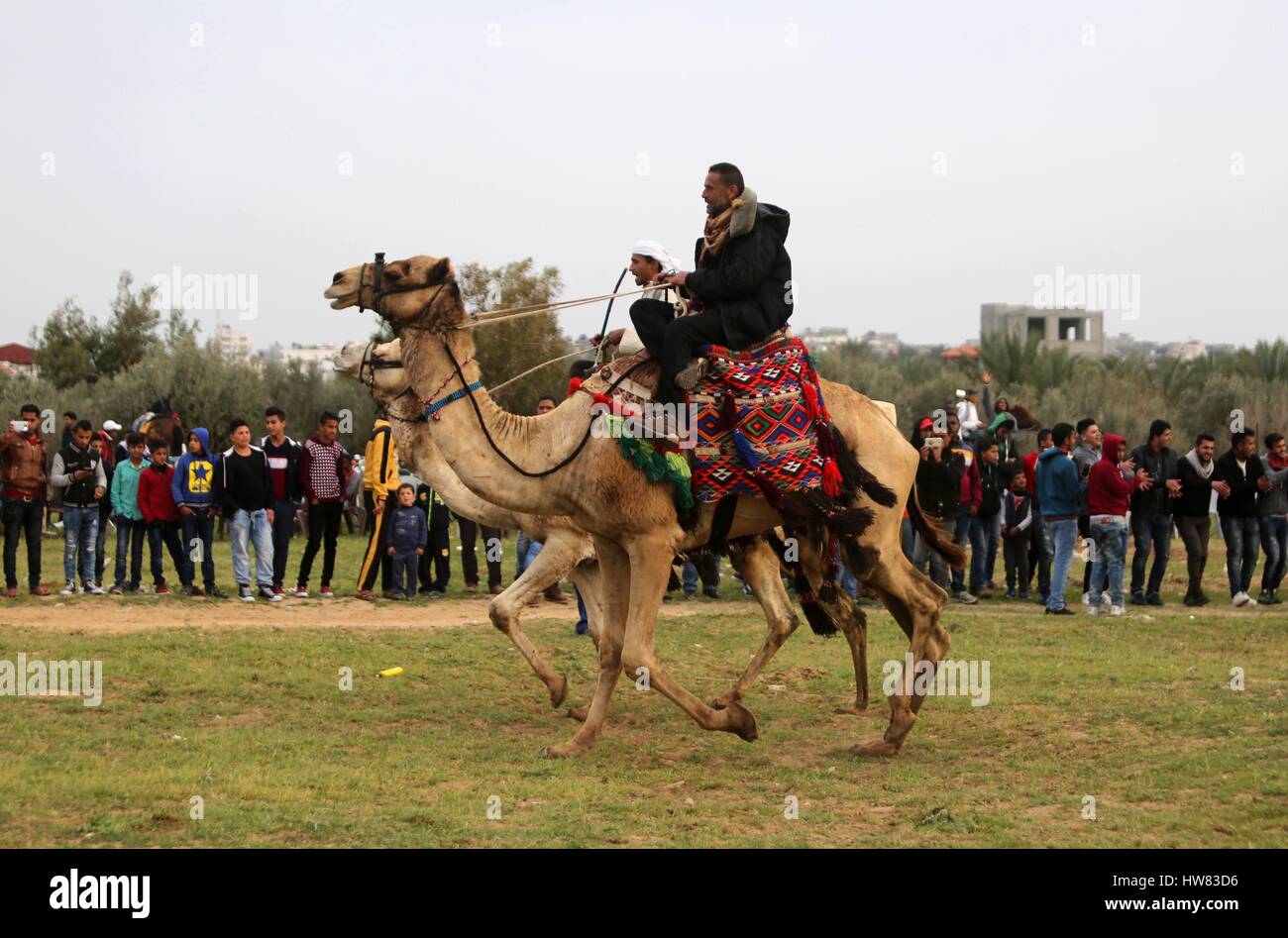 Zawayda, Gaza Strip, Palestinian Territory. 17th Mar, 2017 ...