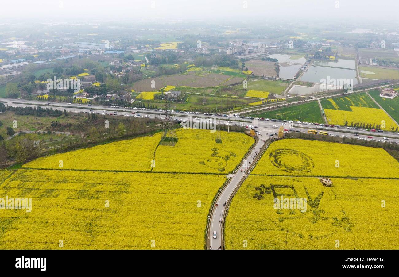 Chengdu. 18th Mar, 2017. Photo taken on March 18, 2017 shows scenery of ...