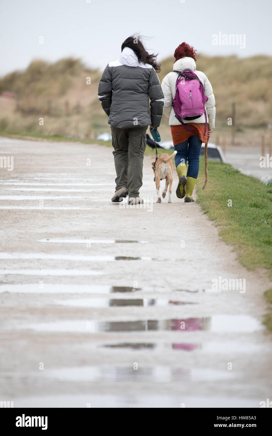 Dog wet warm weather hi-res stock photography and images - Alamy