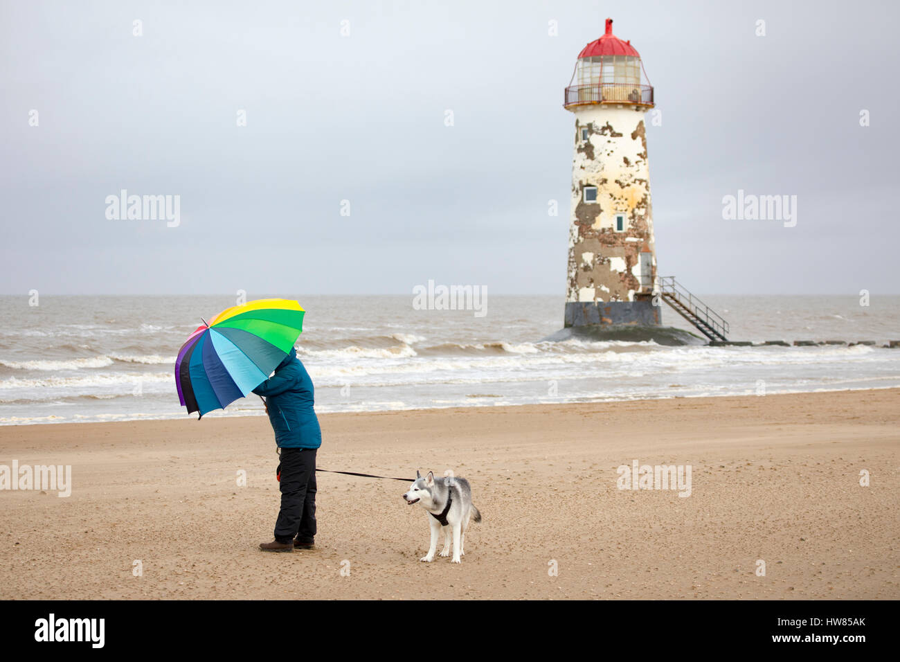 Dog walker on Talacre beach in Flintshire, North Wales puts up a multi ...