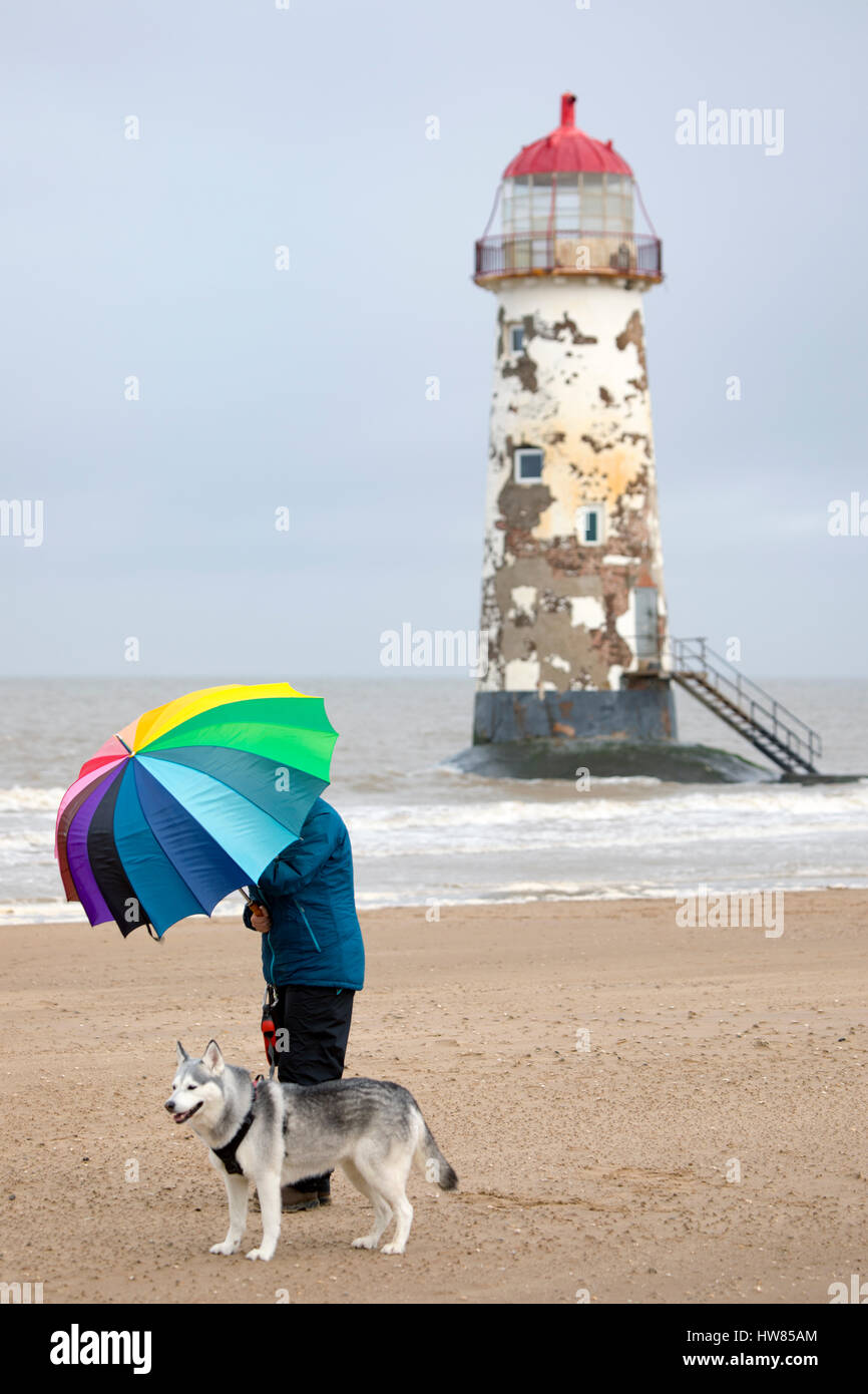 Dog walker on Talacre beach in Flintshire, North Wales puts up a multi ...