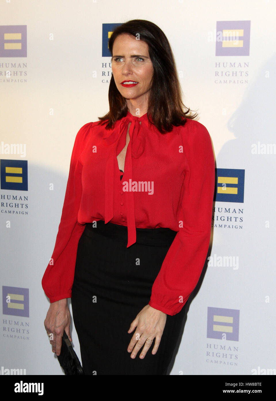 Los Angeles, CA, USA. 18th Mar, 2017. Amy Landecker. The Human Rights ...