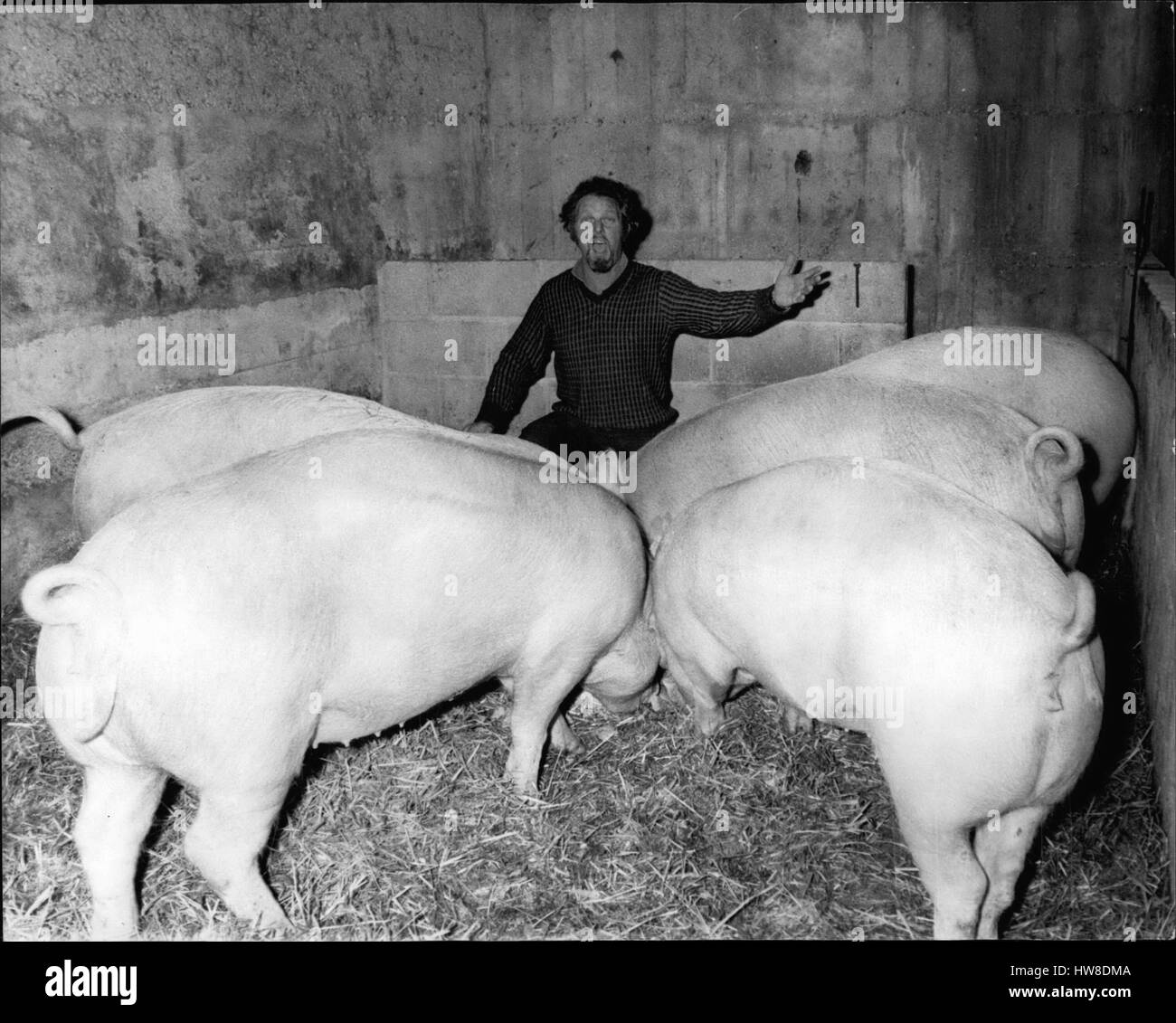 Opera singer from behind hi-res stock photography and images - Alamy