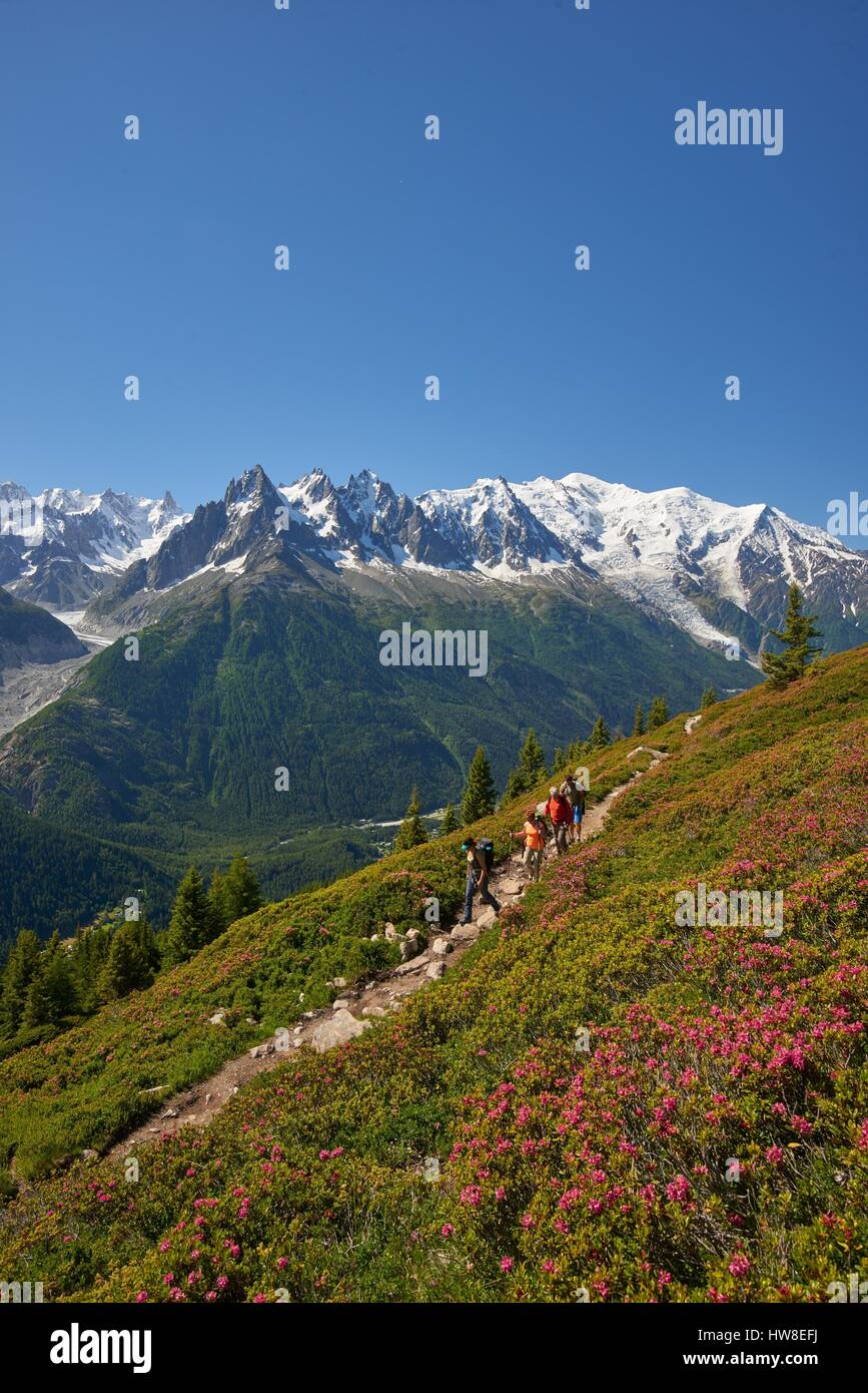 France, Haute-Savoie (74), trekking in the Aiguilles Rouge sanctuary ...